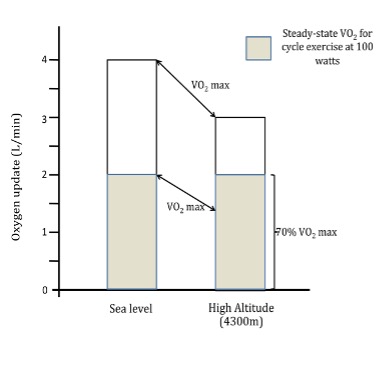Chapter 20 - High Altitude Physiology- Climbing Earth’s Highest Peak ...