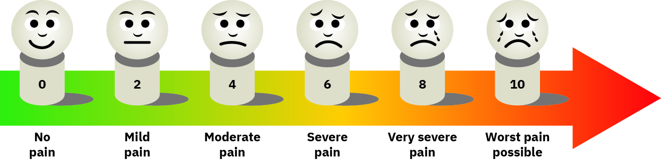 25.2: Physical Assessment - Medicine LibreTexts