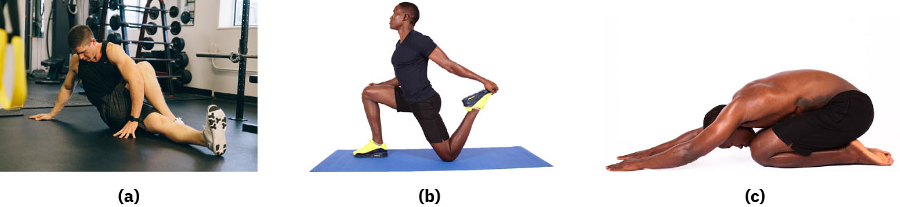 22.1: Importance of Activity, Movement, and Alignment - Medicine LibreTexts