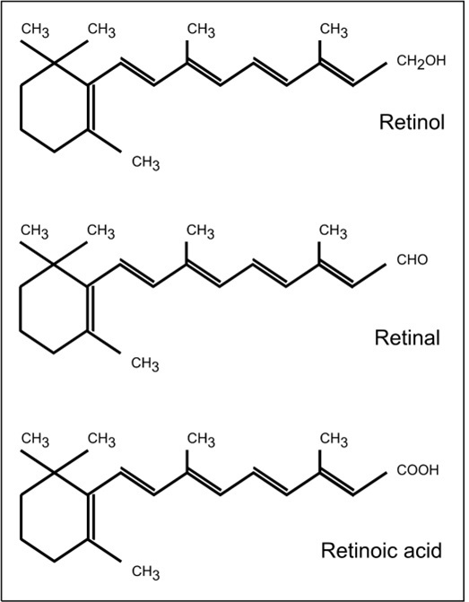 15.1: Introduction (18a.1) - Medicine LibreTexts