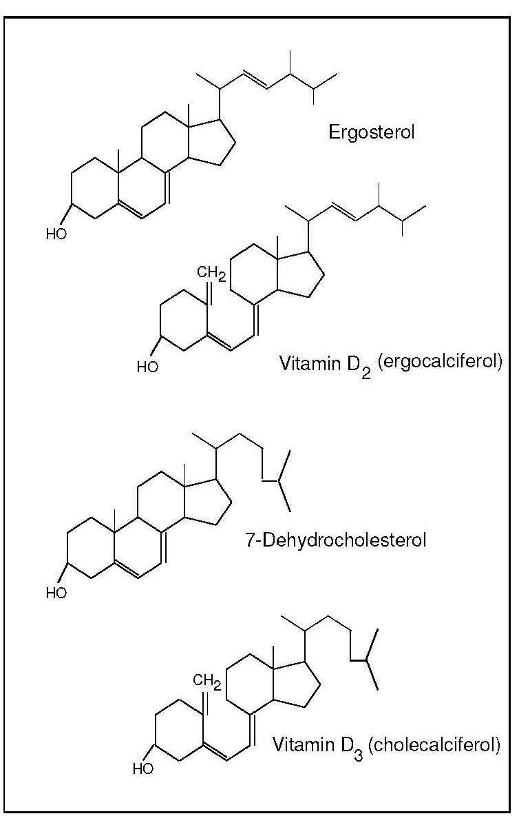 16: Vitamin D (Chapter 18b) - Medicine LibreTexts