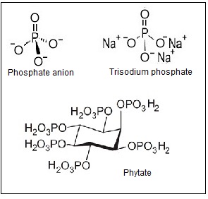 24.2: Biological forms of phos­phate and their measurement (23b.2 ...