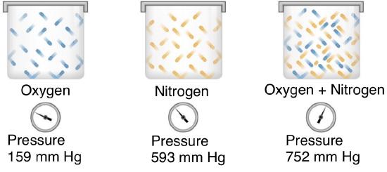 12.6: Gas Exchange - Medicine LibreTexts