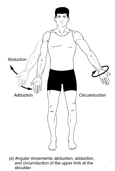 5.8: Joint Movement - Medicine LibreTexts