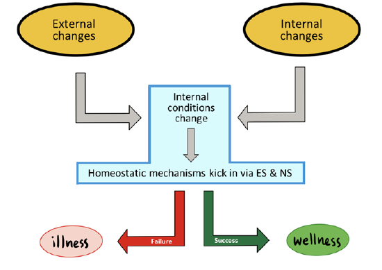 8.1: Overview of the Endocrine System - Medicine LibreTexts